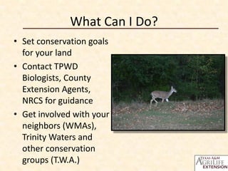 All Things Trinity, All Things Conservation - Richland-Chambers | PPT