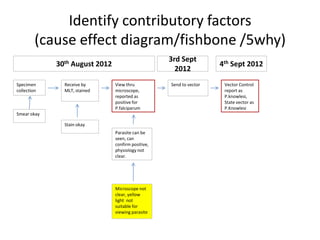 Root Cause Analysis, Wrong Reporting Species for Blood Film for Malaria ...
