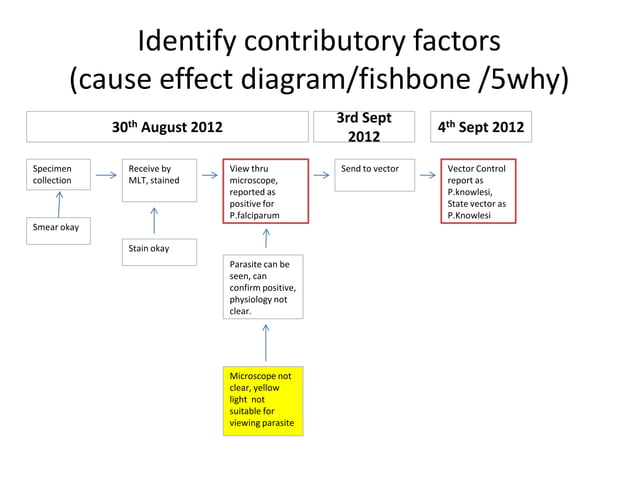 Root Cause Analysis, Wrong Reporting Species for Blood Film for Malaria ...