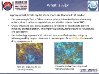 Trans Fat 101: The Government Rules | PPTX