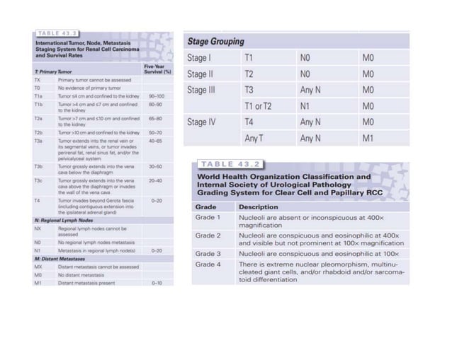 Renal cell carcinoma ( RCC )ADJUVANT TRIALS.pptx