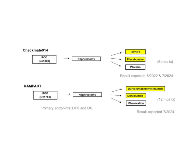 Renal cell carcinoma ( RCC )ADJUVANT TRIALS.pptx