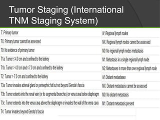 Renal Cell Carcinoma Staging