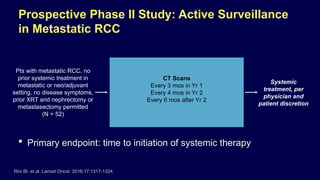 Positive Momentum in Metastatic Renal Cell Carcinoma: New Developments ...