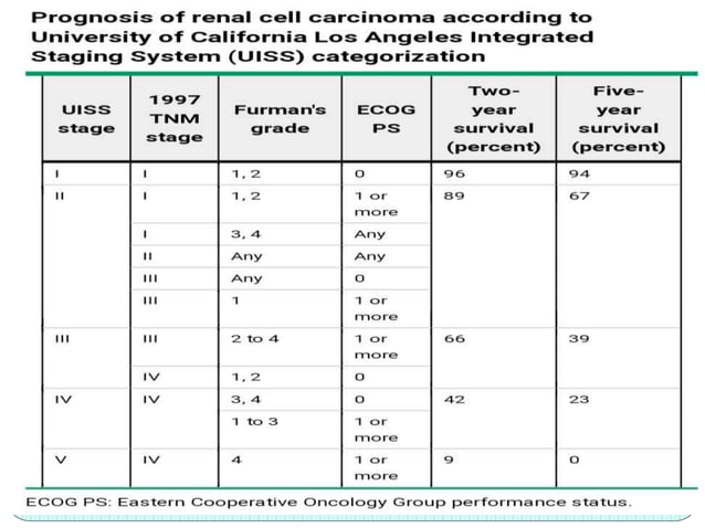 Renal Cell Carcinoma Risk Stratification | PPTX