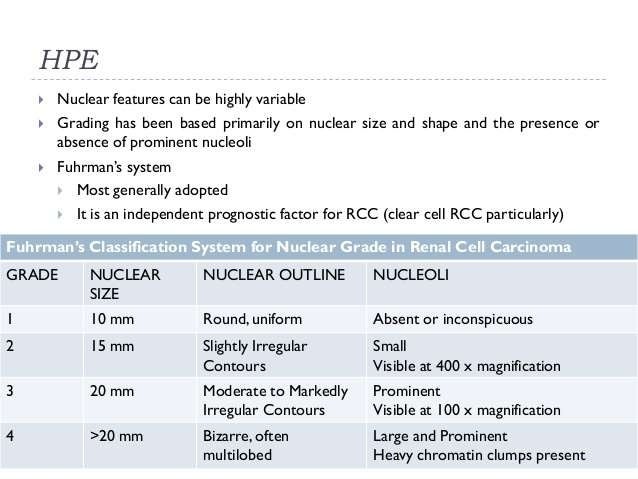 Renal Cell Carcinoma Risk Stratification