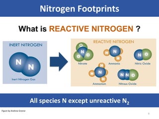 Nitrogen Footprint Tracking: From University to Community | PPTX | Environment | Science