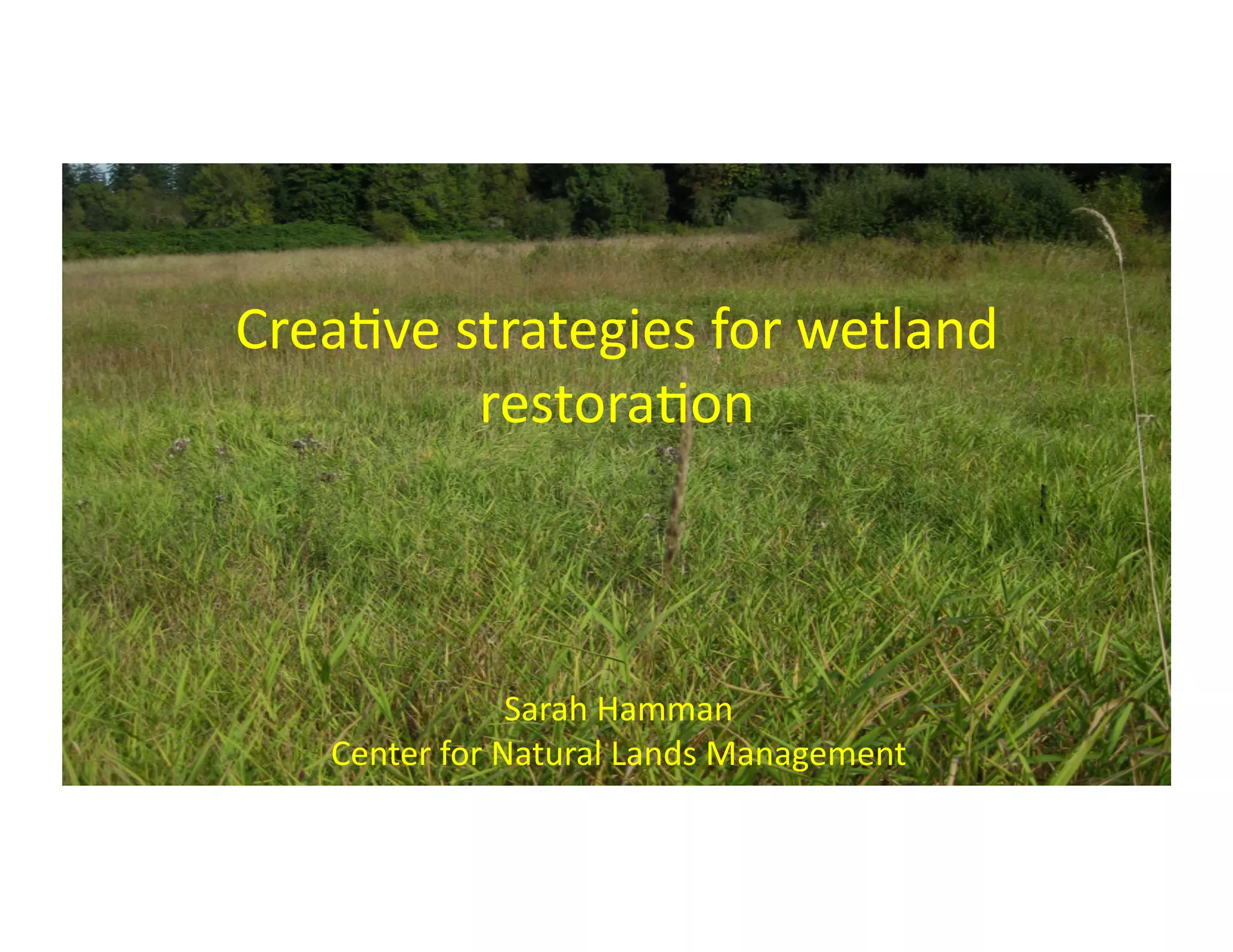 Creative strategies for wetland restoration | PDF