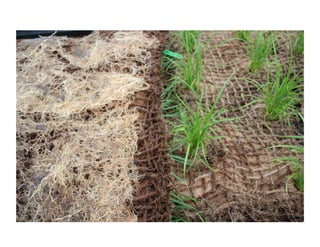 Creative strategies for wetland restoration | PDF | Gardening | Home ...