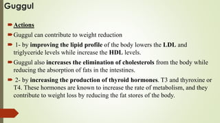 6 obesity -weight_loss | PDF | Herbs and Supplements | Alternative Medicine