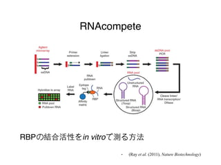 Rck; accurate and efficient inference of sequence and structure-based protein-rna binding models ...