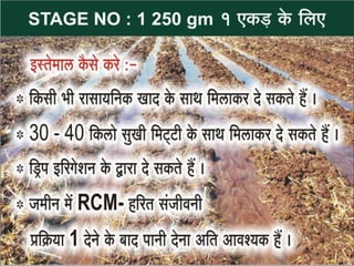 Rcm harit sanjivani training presentation | PPTX