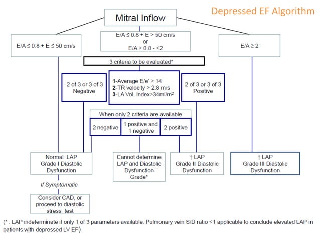 Echo Differentiation of Restrictive Cardiomyopathy and Constrictive ...