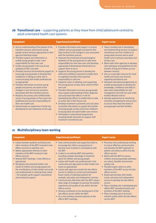 RCN competencies | PDF