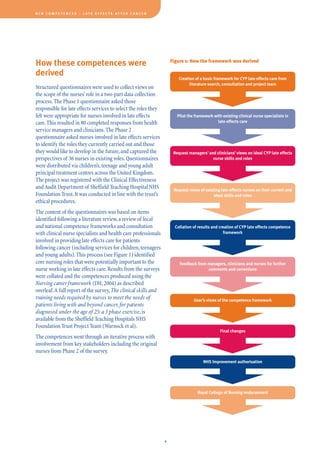 RCN competencies | PDF