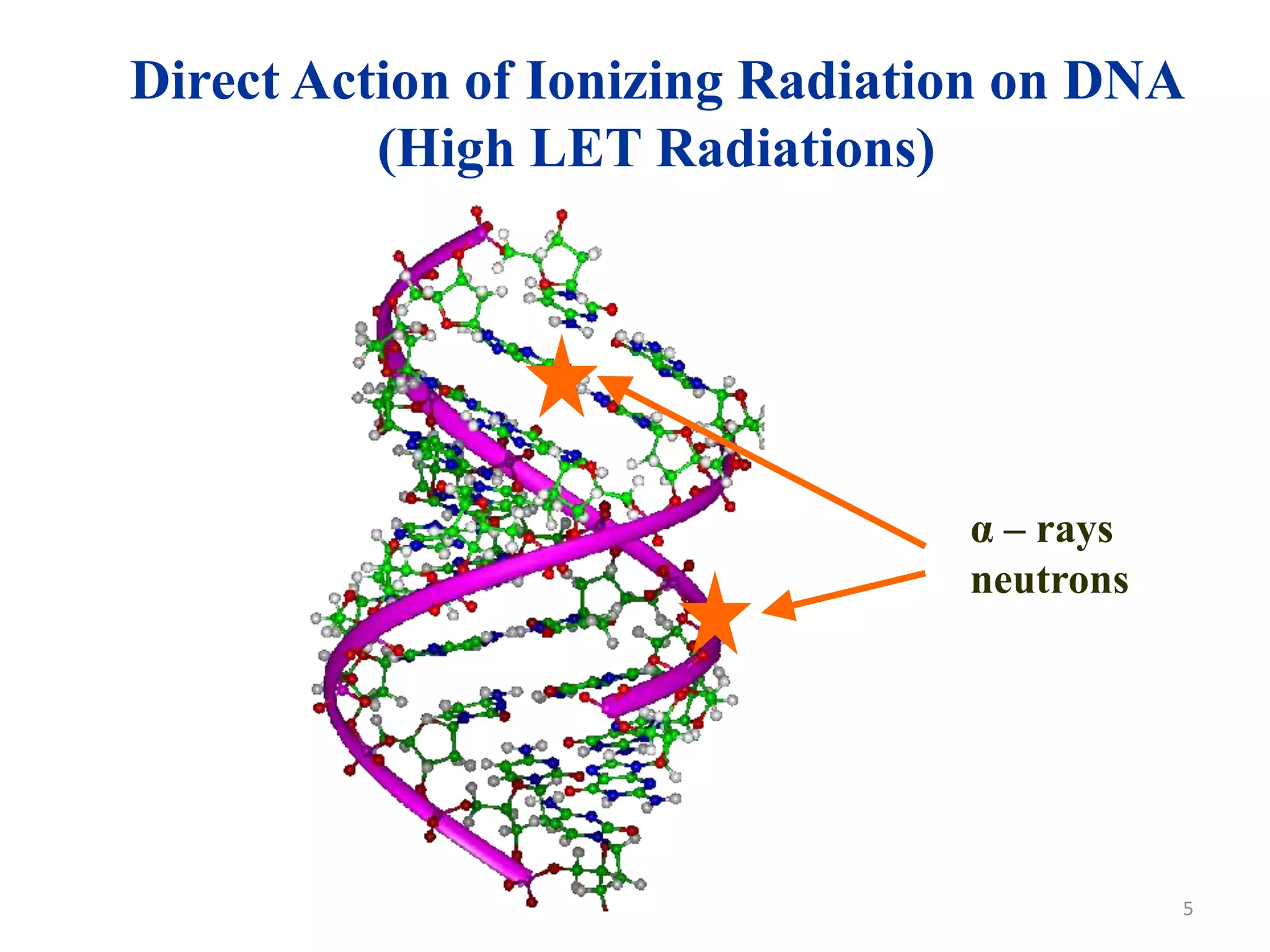 Biological Effects of Ionizing Radiation | PPTX