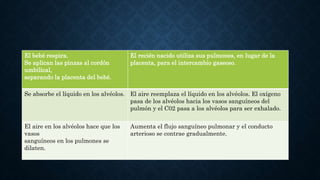 reanimacion neonatal | PPTX