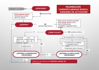 RCP Y PARADA CARDIACA EN PACIENTES ADULTOS | PPTX