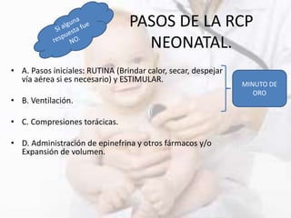 Rcp neonatal | PPTX