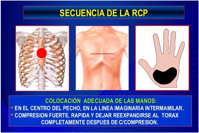 Rcp basica del adulto guias 2010