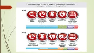 RCP BASICO AVANZADO 2024 hospital nacional hi | PPTX