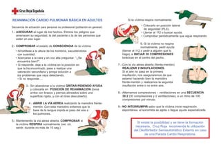 RCP cruz roja.pdf