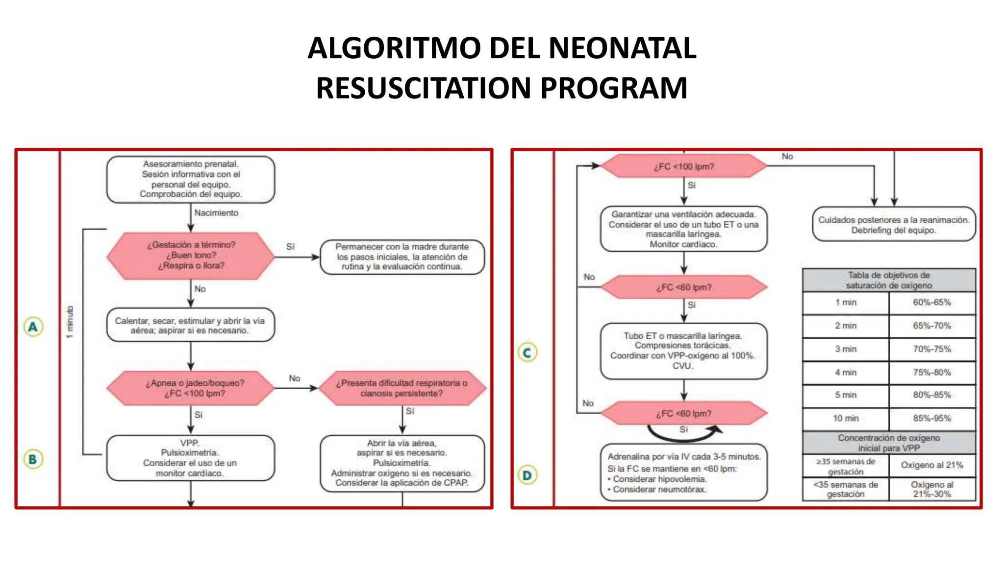 TECNICA DE RCP EN NEONATOS Y EN RNPT .pptx | First Aid | Injuries