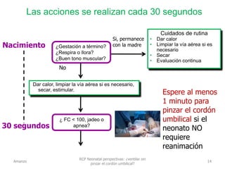 RCP Neonatal: ¿Ventilar sin clampar el cordón umbilical? | PDF