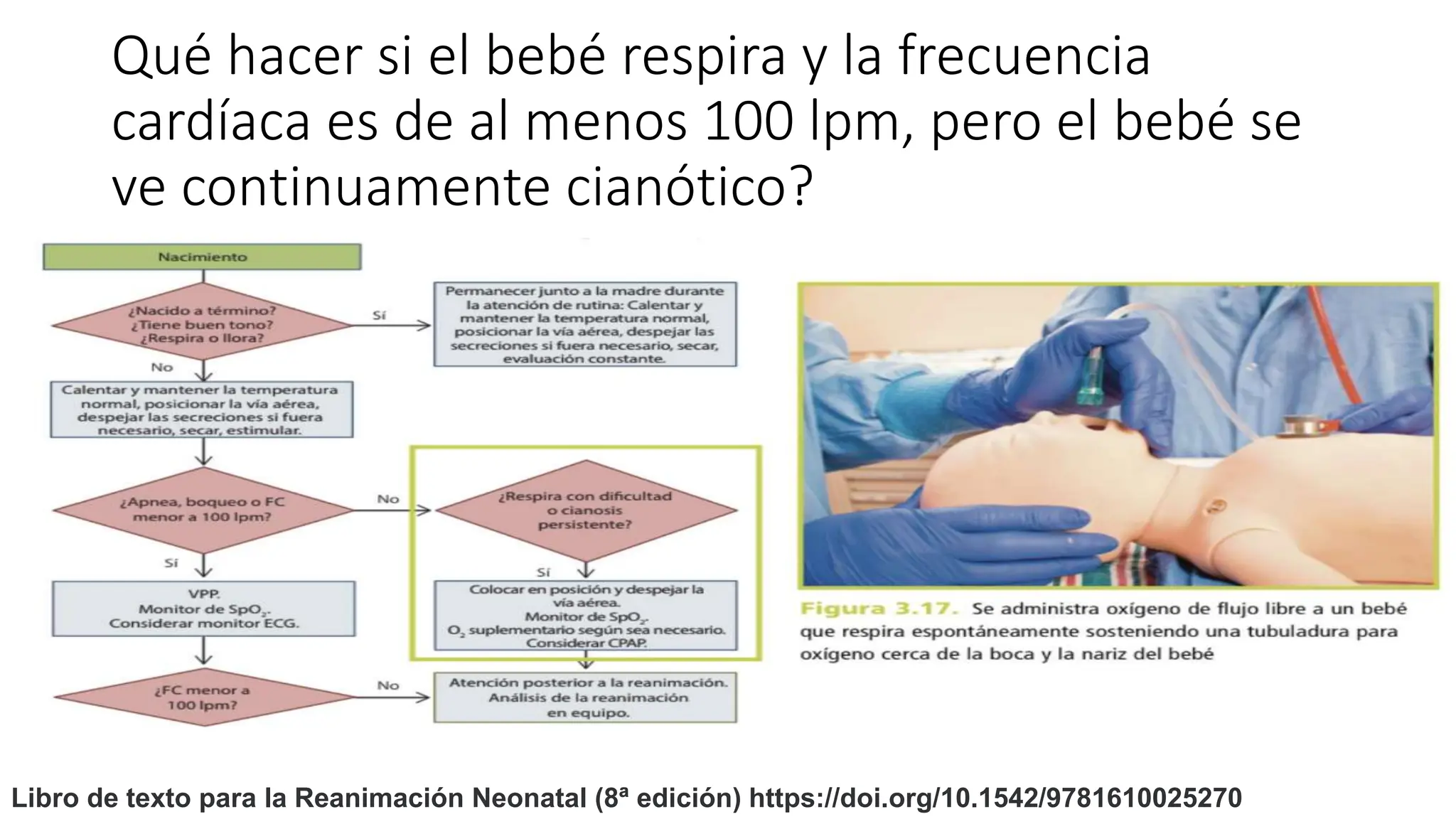 RCP neonatal y pediatrico.pptx