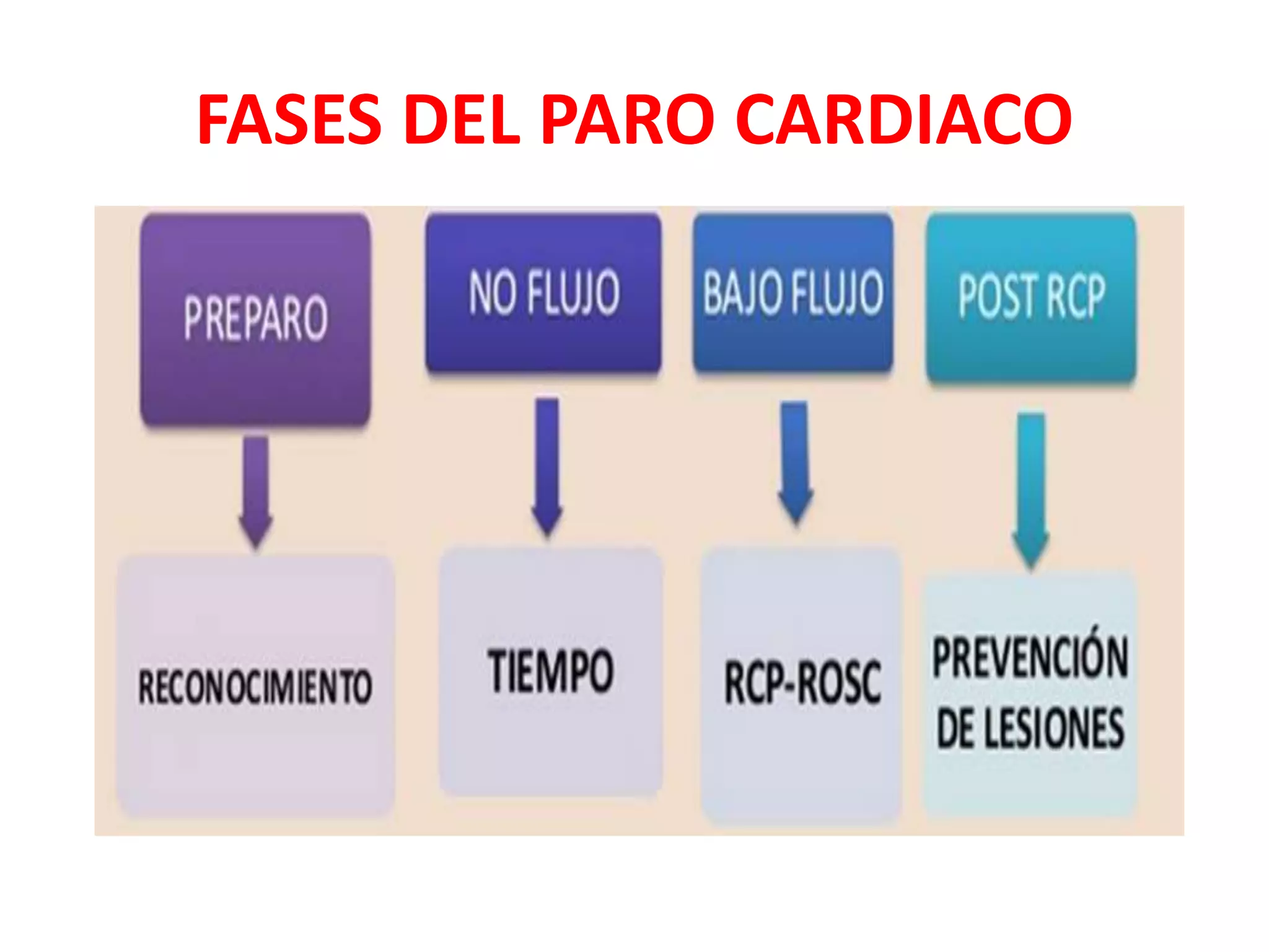 Reanimación Cardio pulmonar Pediátrico (RCP PEDIATRICO) 2015 | PPT