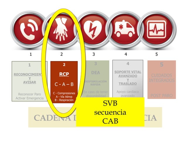 RCP - Reanimación cardiopulmonar Básica. Prof. Paula Soto Parada | PDF ...