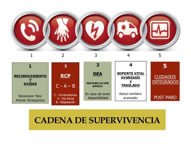 Reanimacion Cardiopulmonar Basica