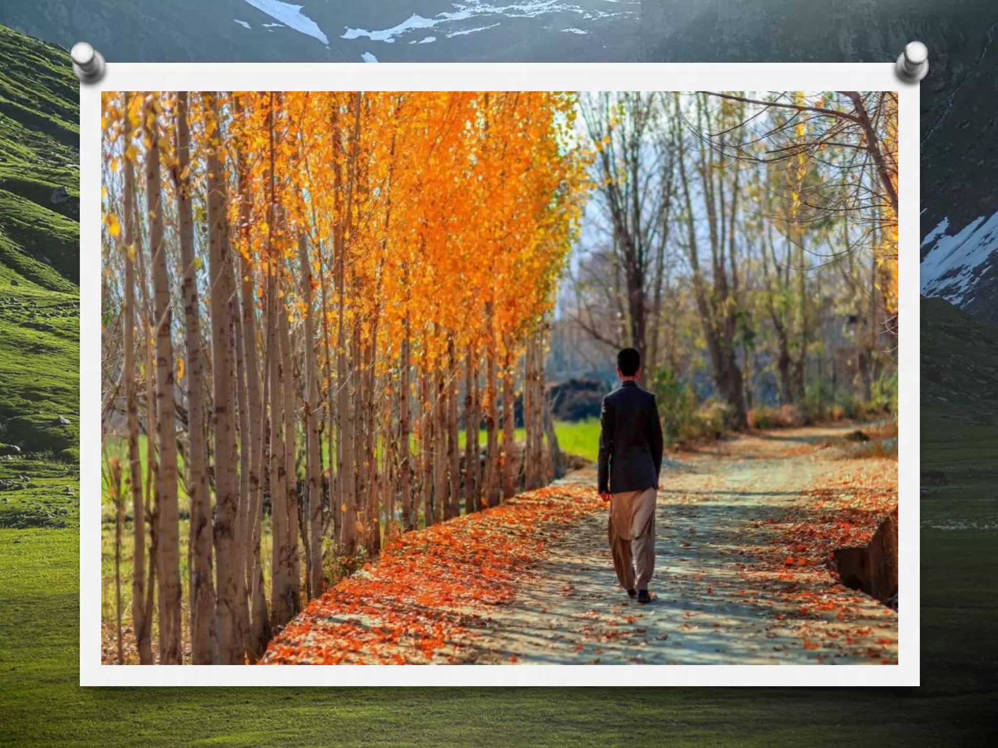 RCP & SSP Scenario Matrix.pptx