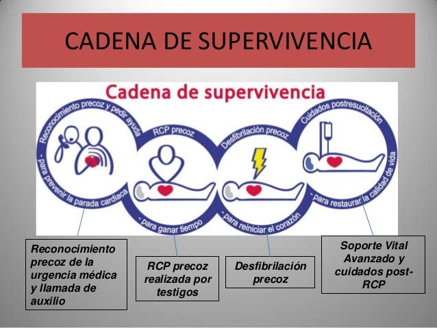 RCP: CADENA DE SUPERVIVENCIA