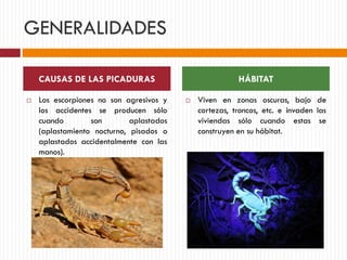 ESCORPIONISMO EN PANAMÁ | PDF