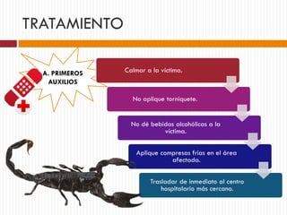 ESCORPIONISMO EN PANAMÁ | PDF