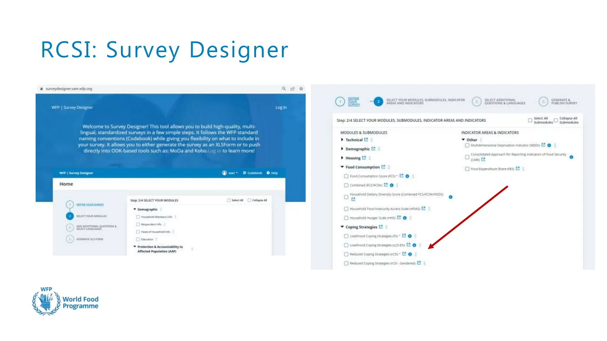 Reduced Coping Strategies Index (rCSI) Needs Assessments.pptx