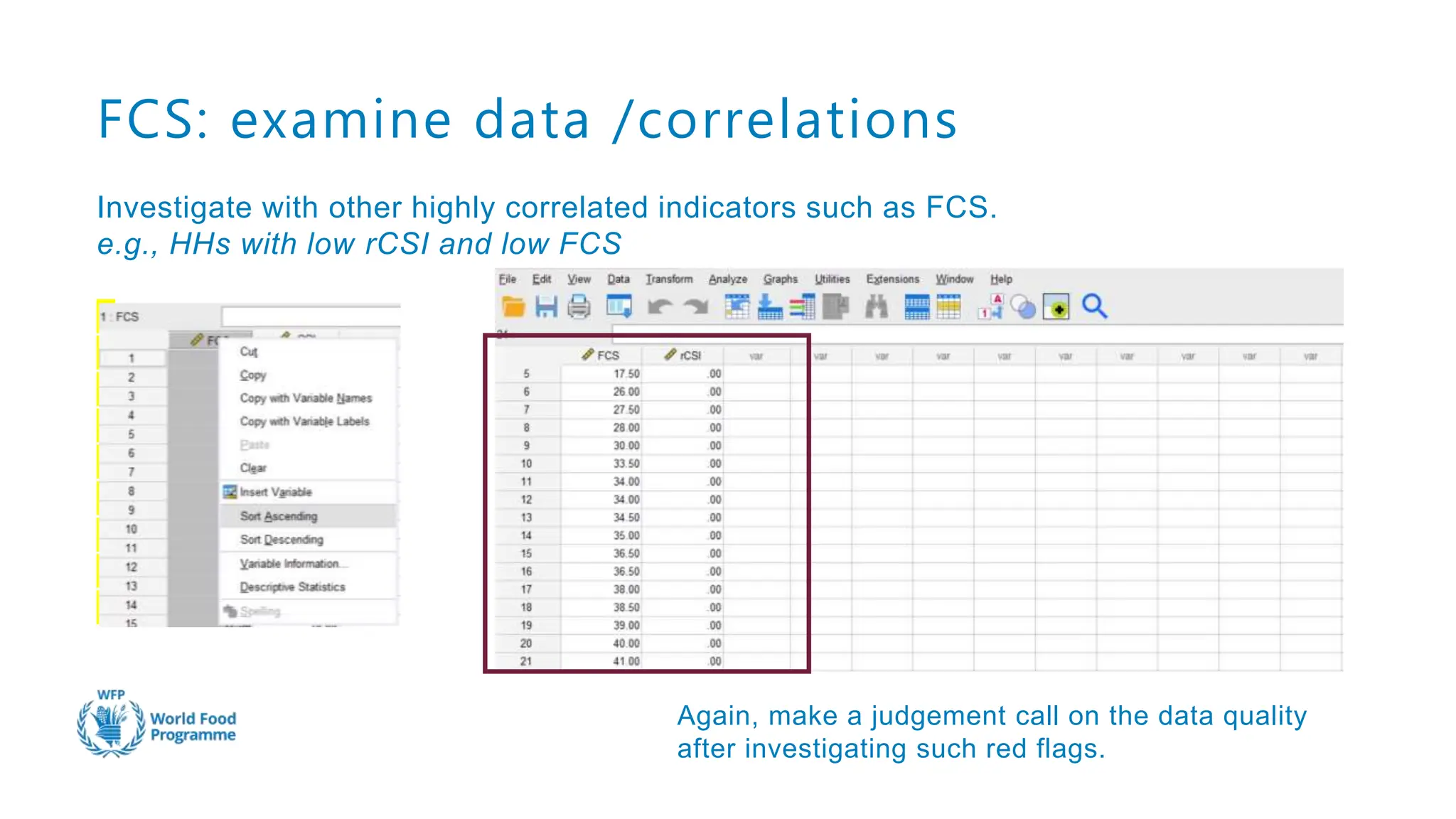 Reduced Coping Strategies Index (rCSI) Needs Assessments.pptx