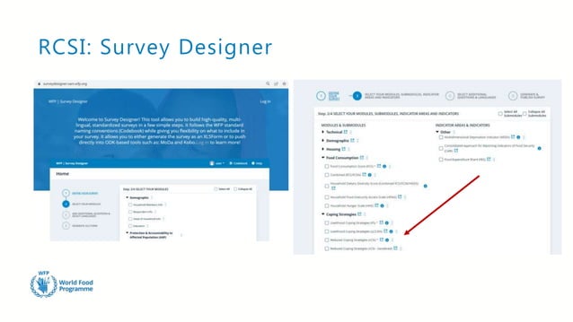 Reduced Coping Strategies Index (rCSI) Needs Assessments.pptx