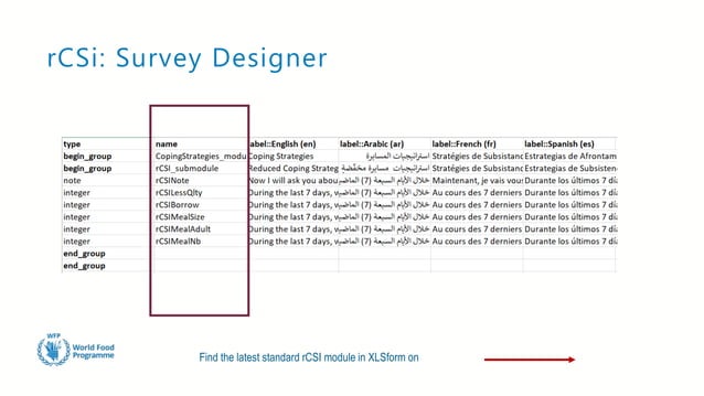 Reduced Coping Strategies Index (rCSI) Needs Assessments.pptx