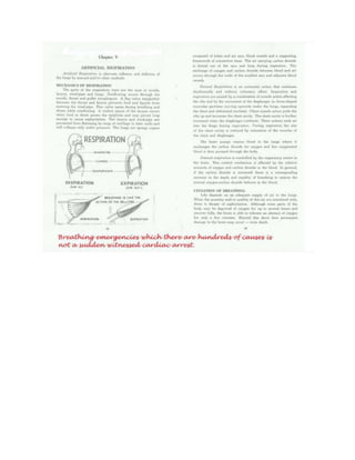 Red Cross First Aid | DOCX