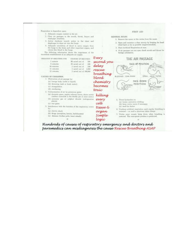 Red Cross First Aid | DOCX