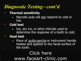 Root Canal Treatment for Patients & Dentist | PPT | Free Download