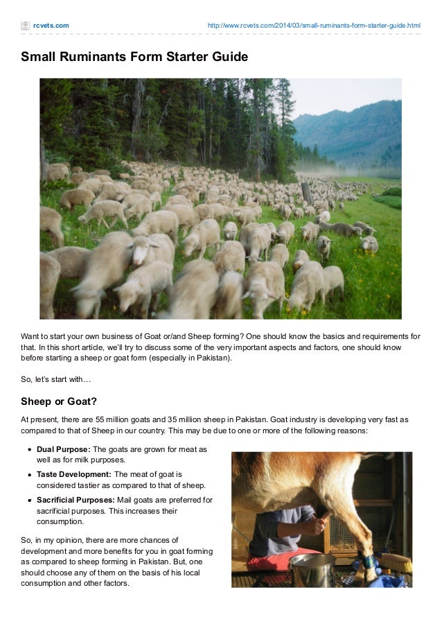 Small Ruminants Form Starter Guide (RCVetS.com)