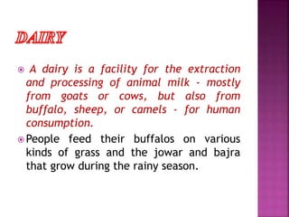 Non farming activities in rural areas | PPTX