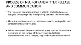 role of calcium in nerve impulses | PPTX