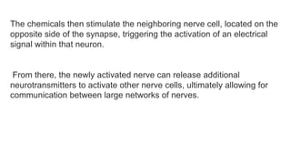 role of calcium in nerve impulses | PPTX