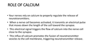 role of calcium in nerve impulses | PPTX