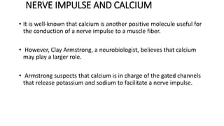 role of calcium in nerve impulses | PPTX