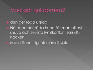 Röda hund | PPTX